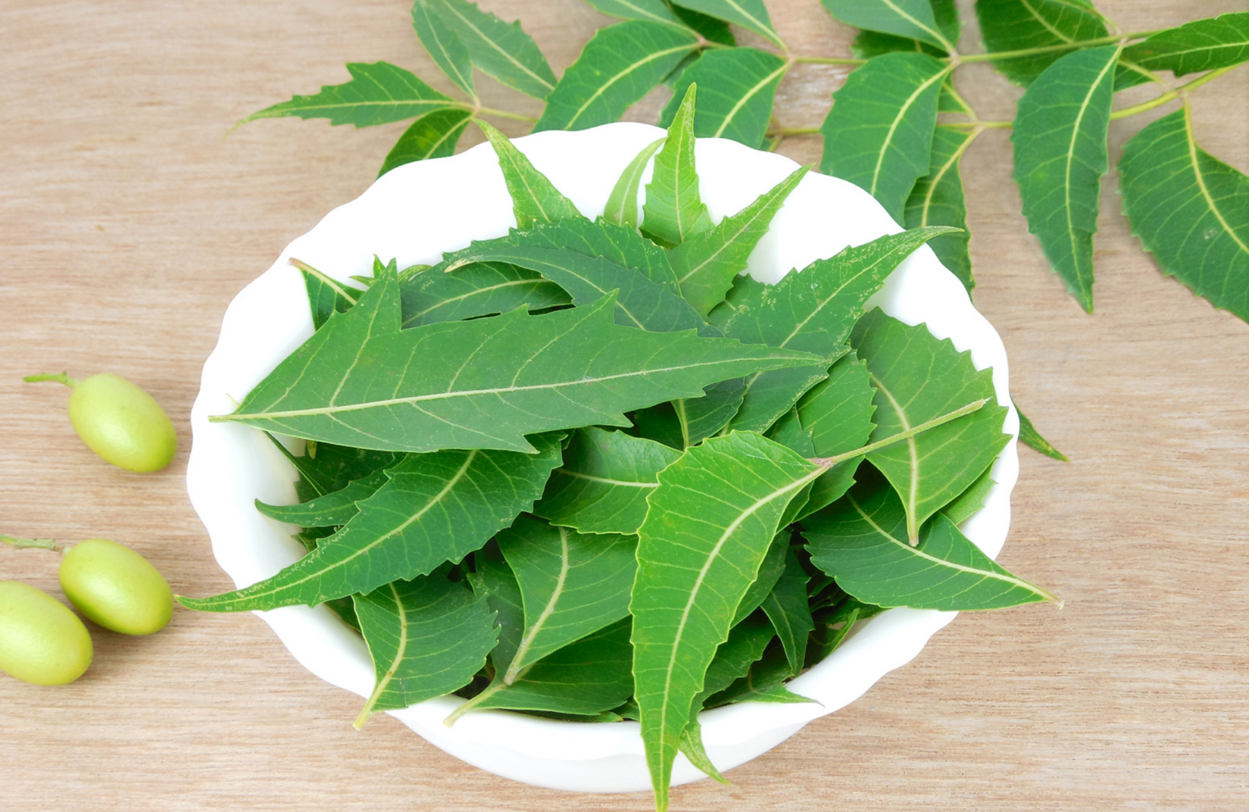 Neem Wood Comb – Herbal Edge Canada